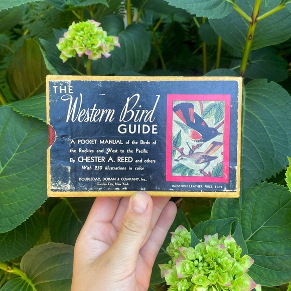 Accents | Vintage Guide To Western Birds Bird Identification Book With ...